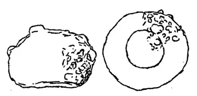 Cyclopyxis arcelloides ghesquierei – Microworld