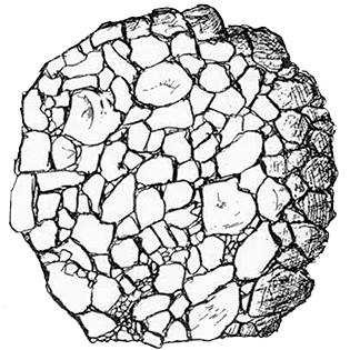 Difflugia key spherical – Microworld